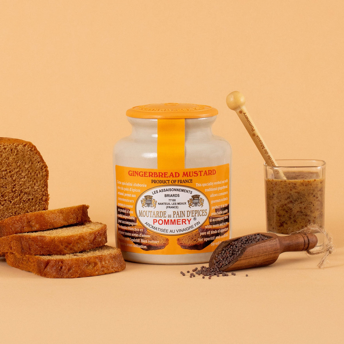 Moutarde de Dijon : secrets, fabrication et usages du condiment iconiq